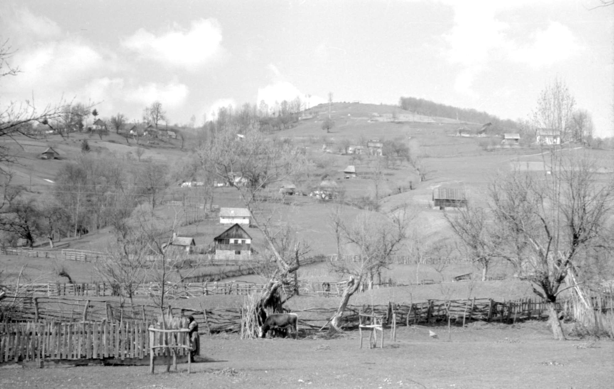 Așezare, Valea Arieșului – vedere de ansamblu - Arhiva UAR